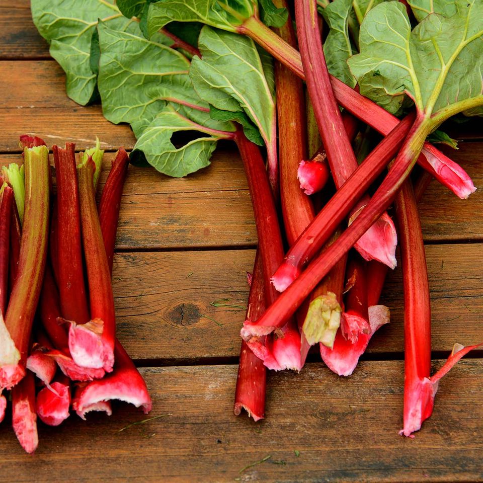 Rhabarber anbauen, zubereiten & weitere Infos - [LIVING AT HOME]