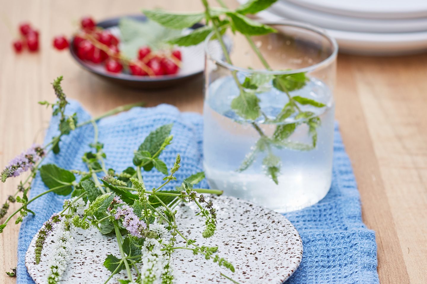 Frischekick am Tisch - [LIVING AT HOME]