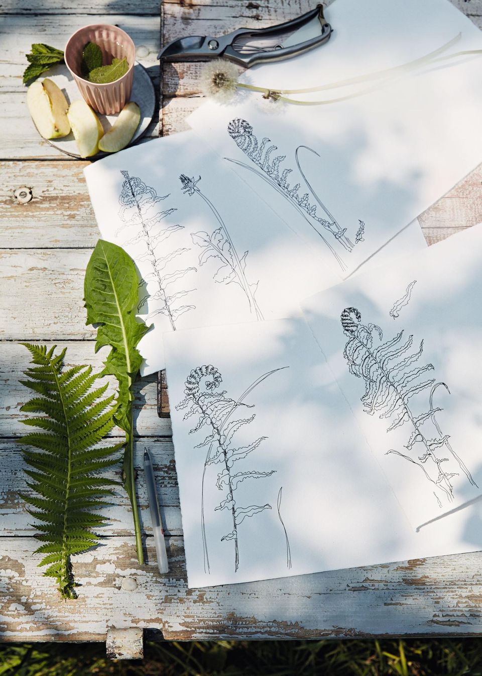 Eine Zierde - Bild 8 - [LIVING AT HOME]